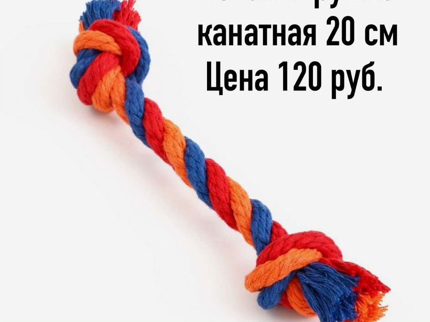 Новые для собак