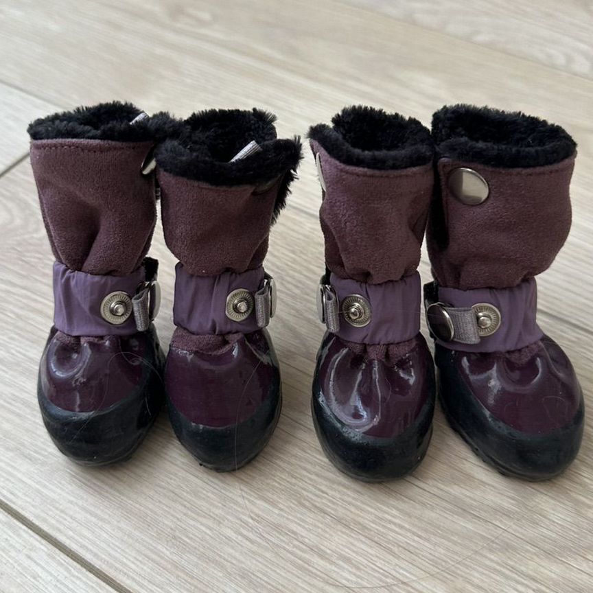 Ботинки для собак