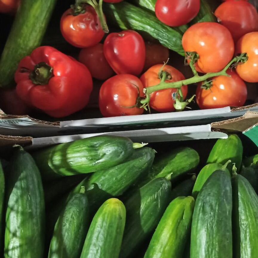 Овощи и Хлеб на корм животным