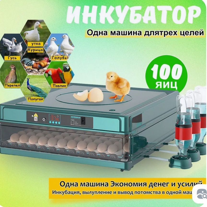 Инкубатор для яиц автоматический переворот