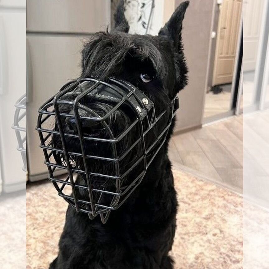 Намордник для собак Сука но Gappay (оригинал)