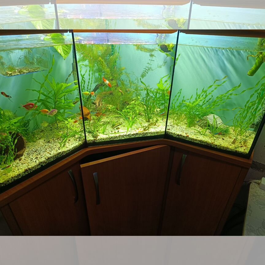 Аквариум с тумбой 150л