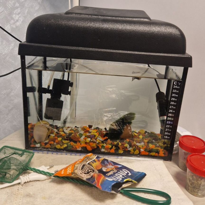 Аквариум с гупи и улиткой 5л