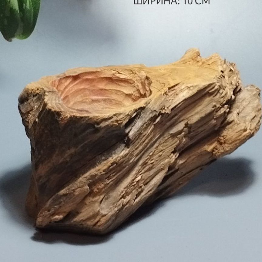 Коряга 3 натур. с отверстием для посадки растений