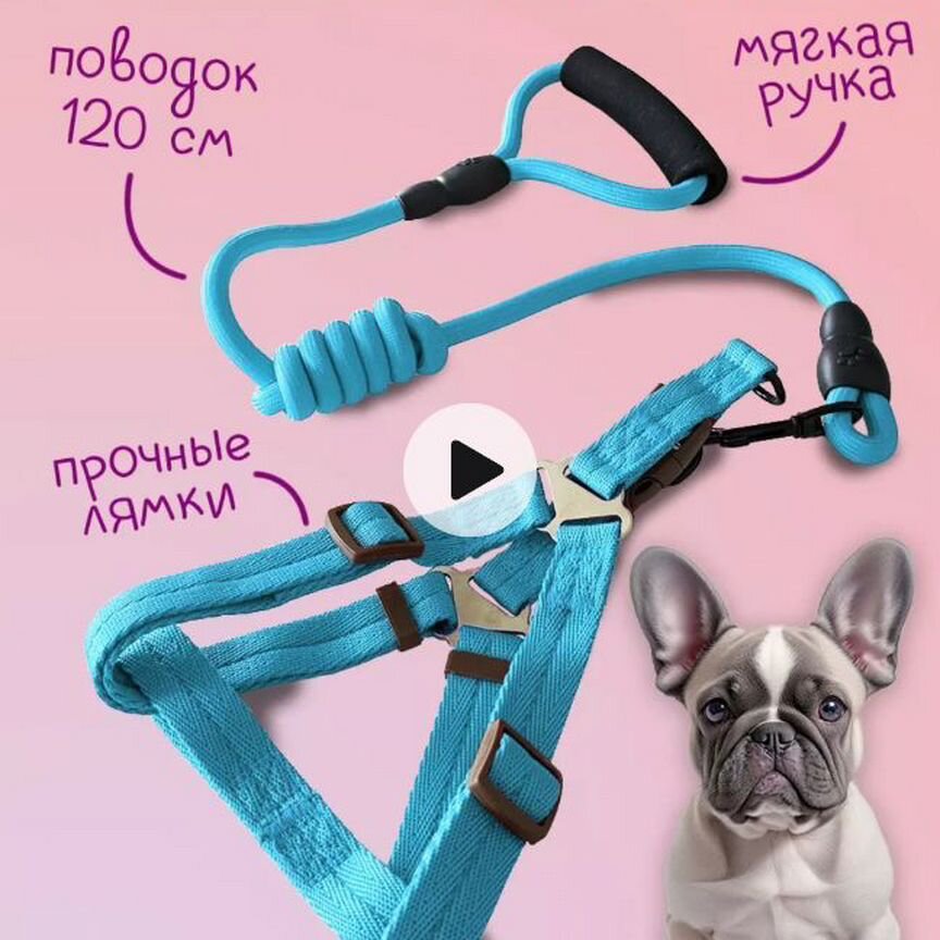 Шлейка с поводком