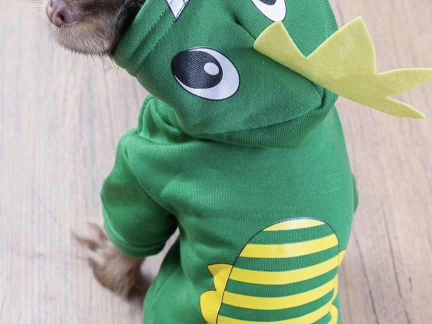 Одежда для маленьких собак