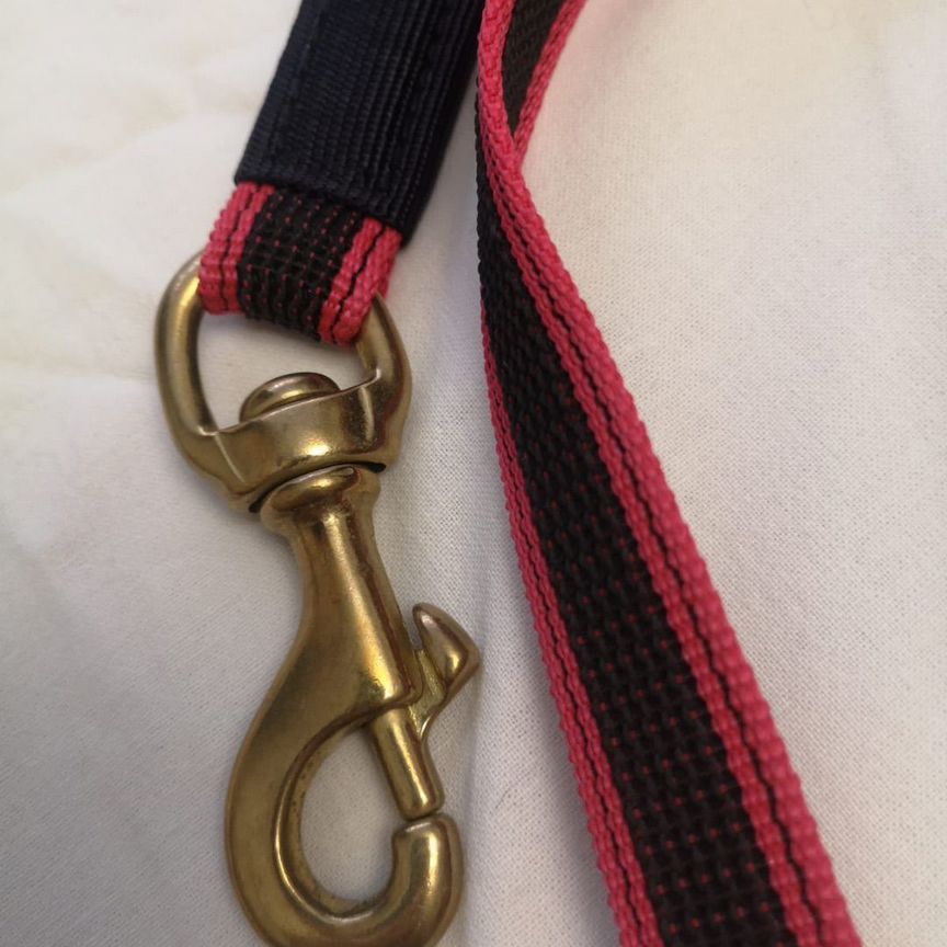 Поводок для собак прорезиненный