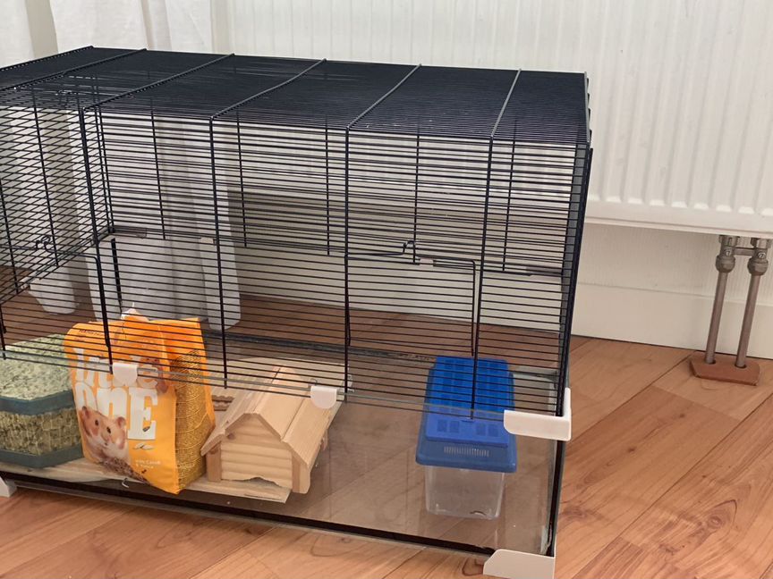 Клетка для грызунов очень большая