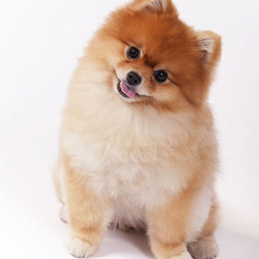 Помогите пожалуйста