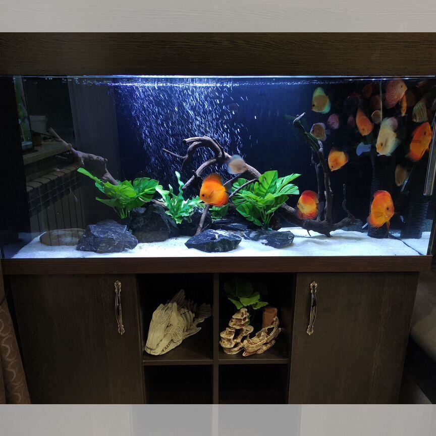 Аквариум