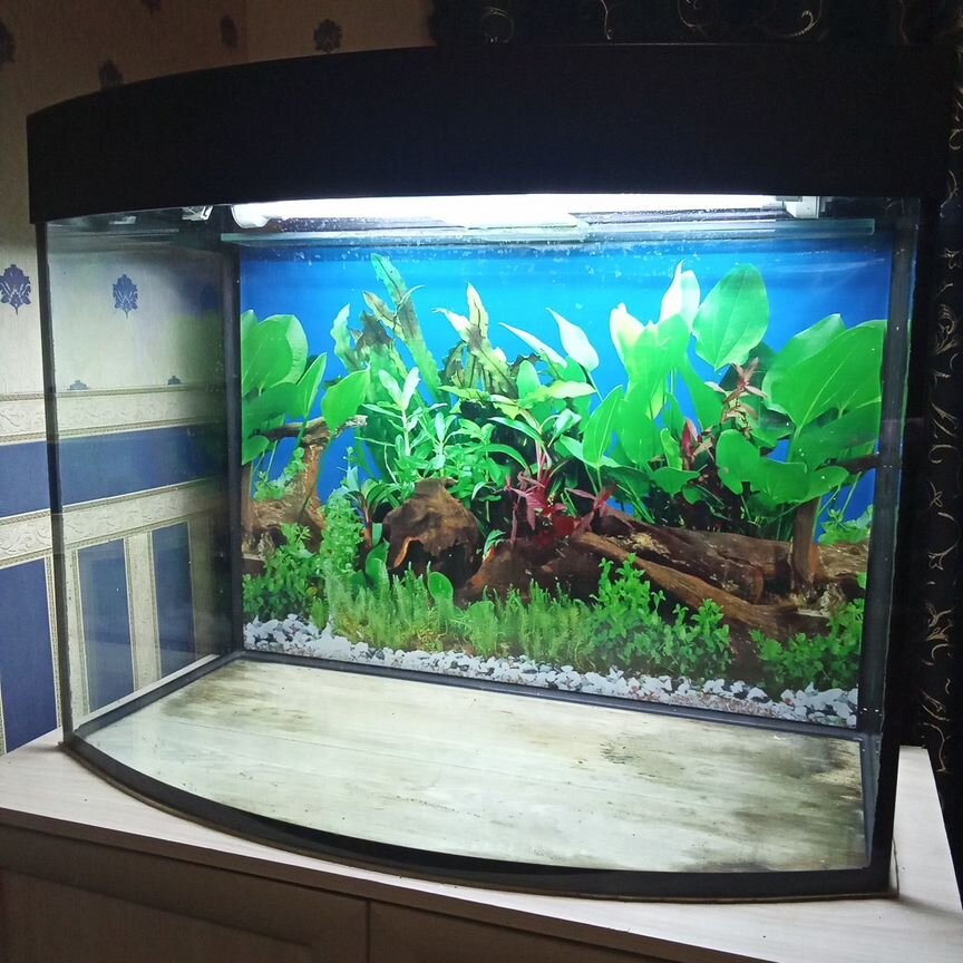 Аквариум 170 литров