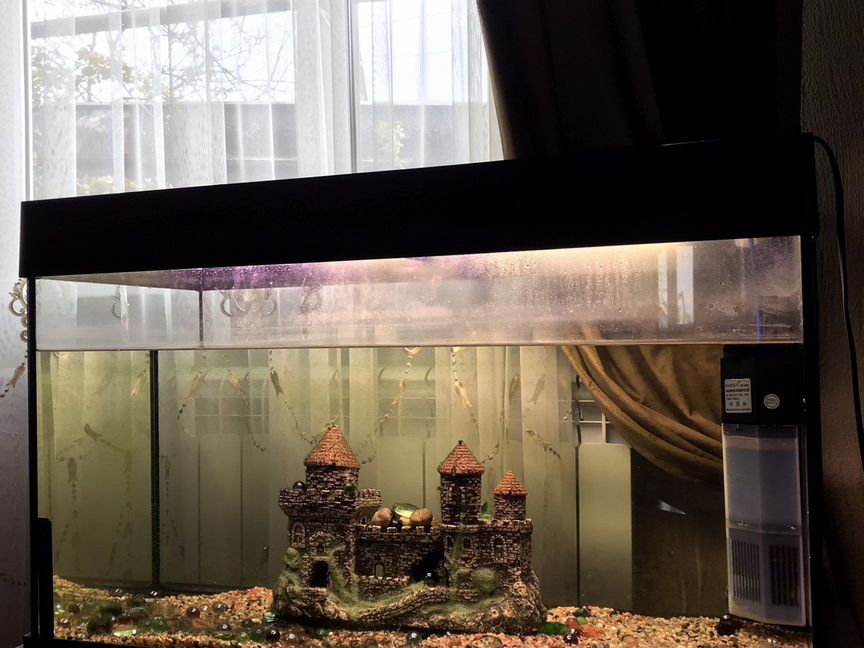 Аквариум Juvel