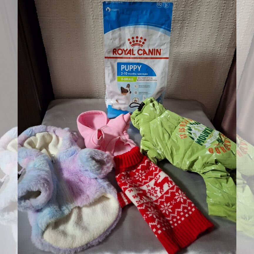 Вещи и корм для маленькой породы собак