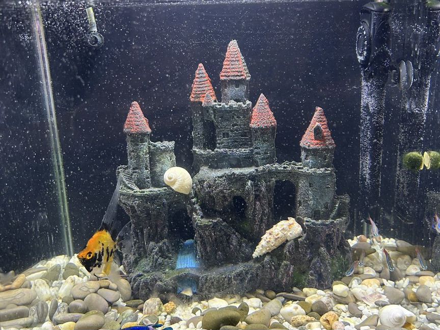 Аквариум 40 литров