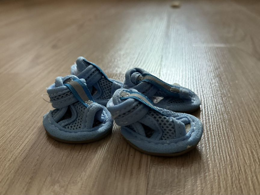 Ботинки для собак