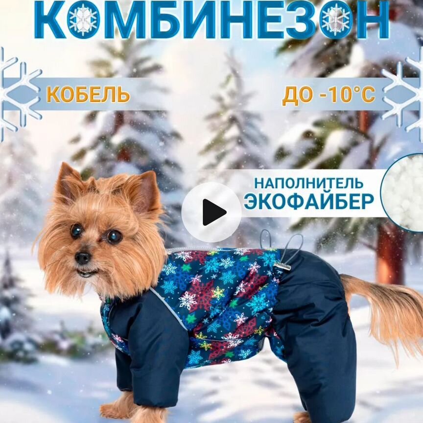 Одежда для собак