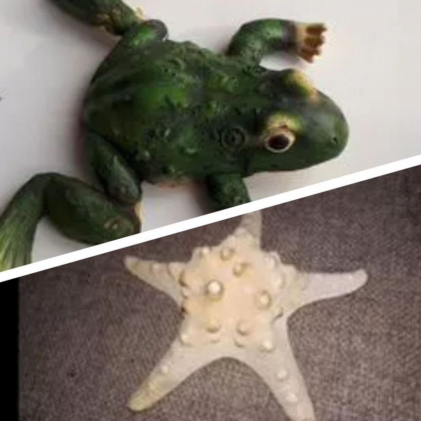 Аксессуары для пруда бассейна