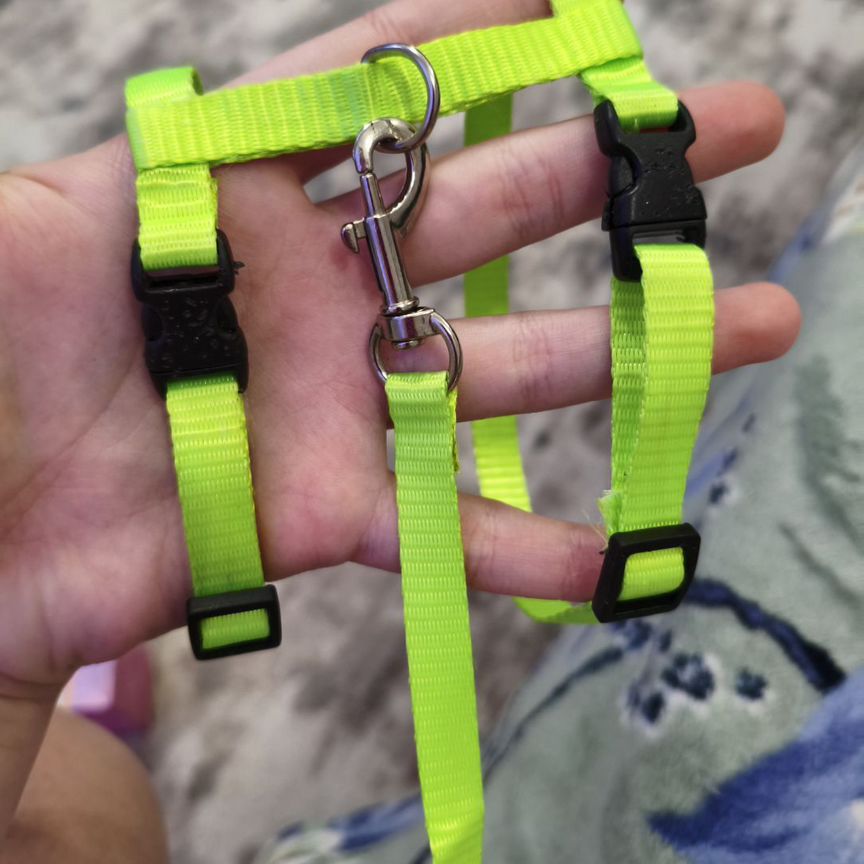 Шлейка для кошки с поводком