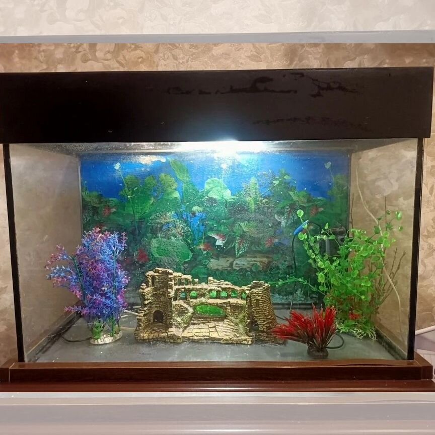 Аквариум 200 литров