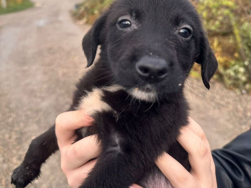 Меня предали