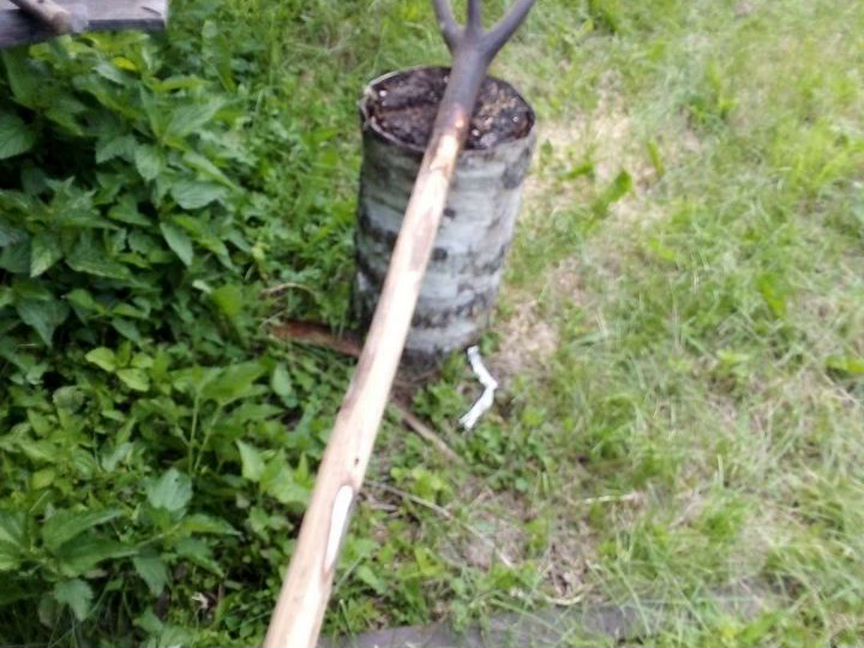 Для сада и огорода