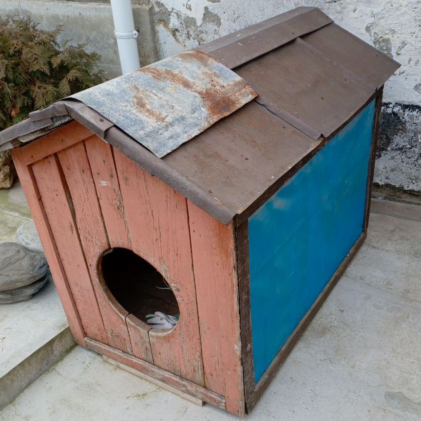 Собачья будка