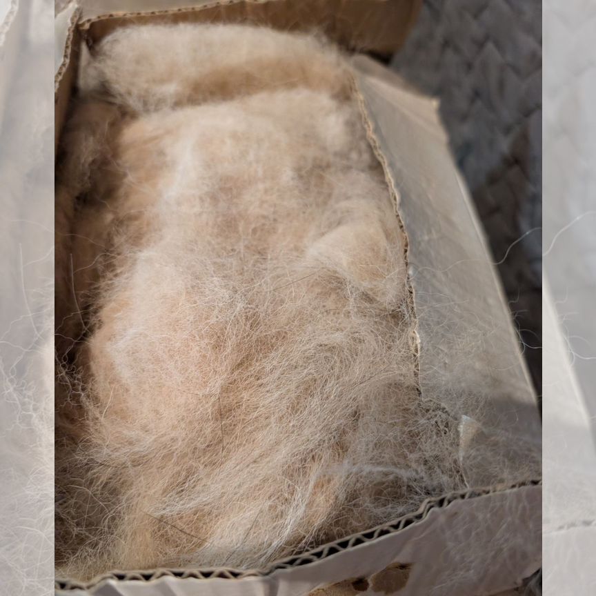 Собачий пух продам