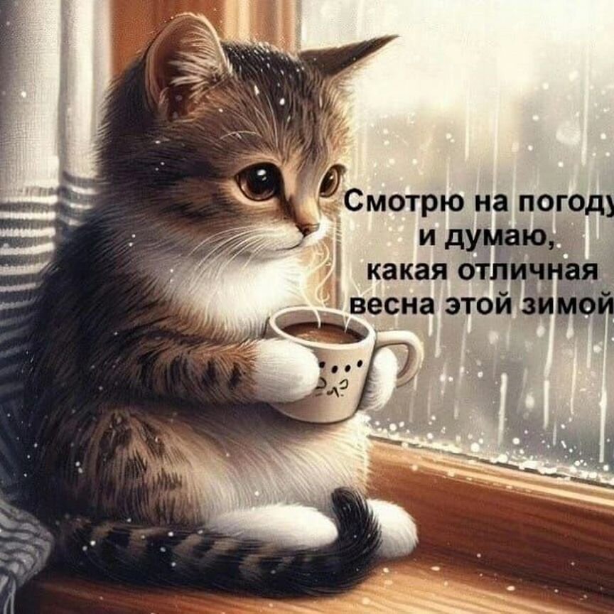 Британская кошечка