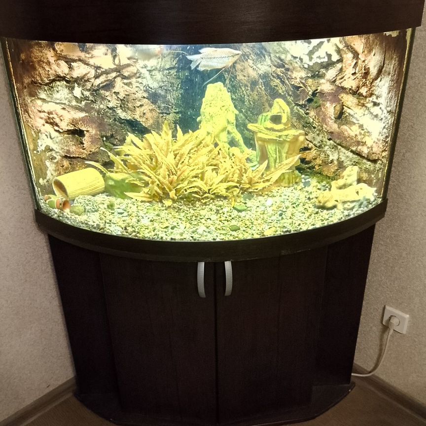 Аквариум с тумбой, угловой, 230 литров