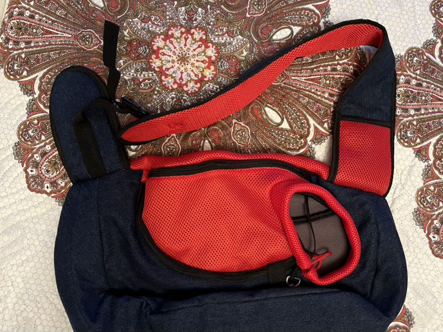 Сумка-переноска и обувь для собак