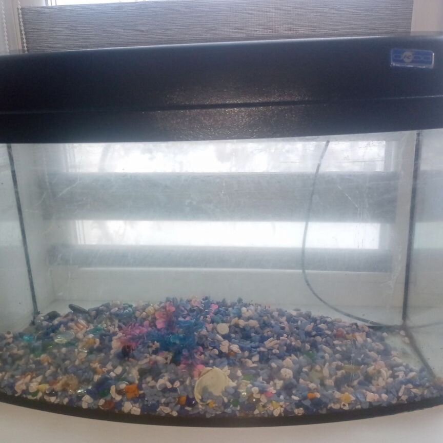 Аквариум с подсветкой (не мытый)