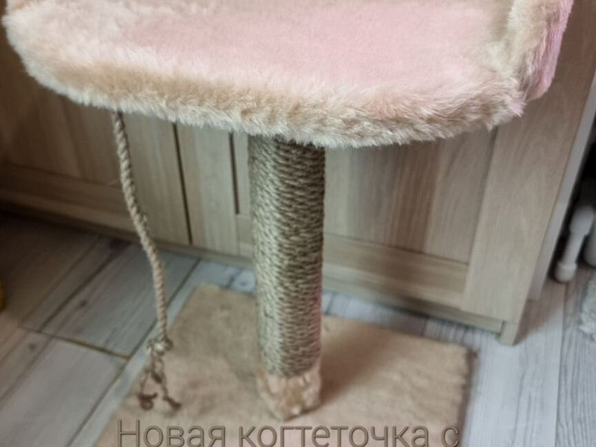 Когтеточка вналичии