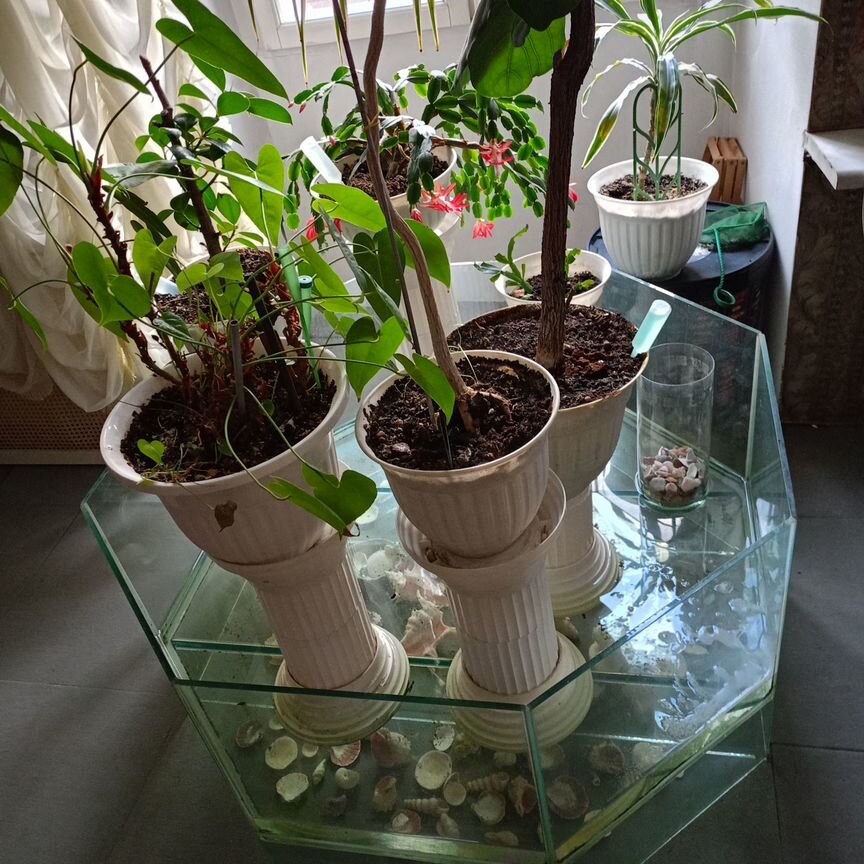 Аквариум восьмигранный напольный приблизительно на