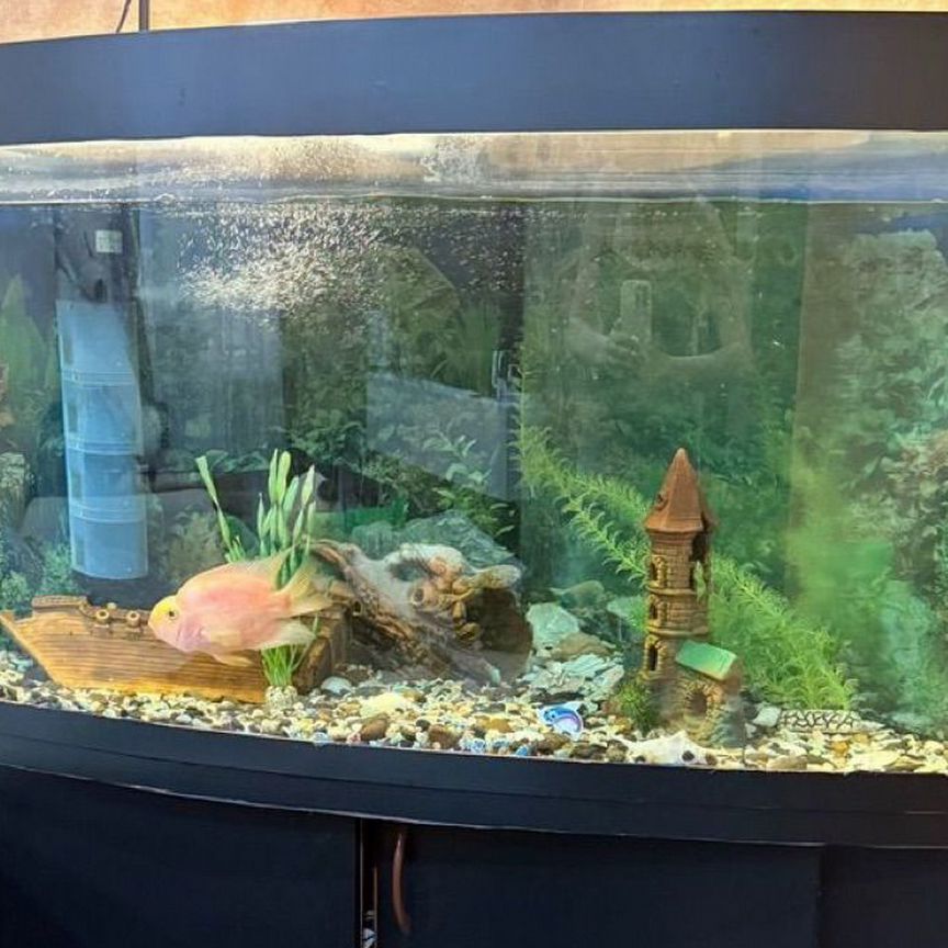 Аквариум с тумбой 300 литров