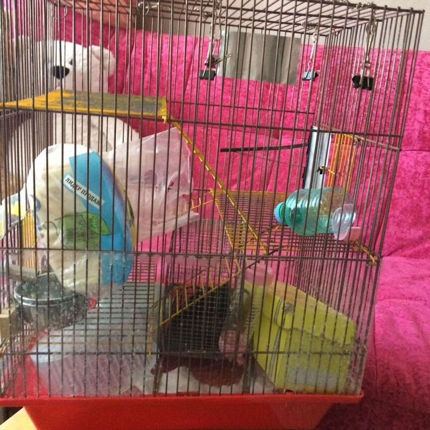 Клетка для грызунов бесплатно