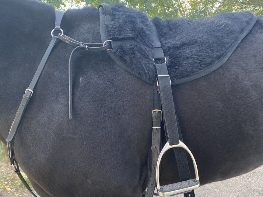 Пад для лошади