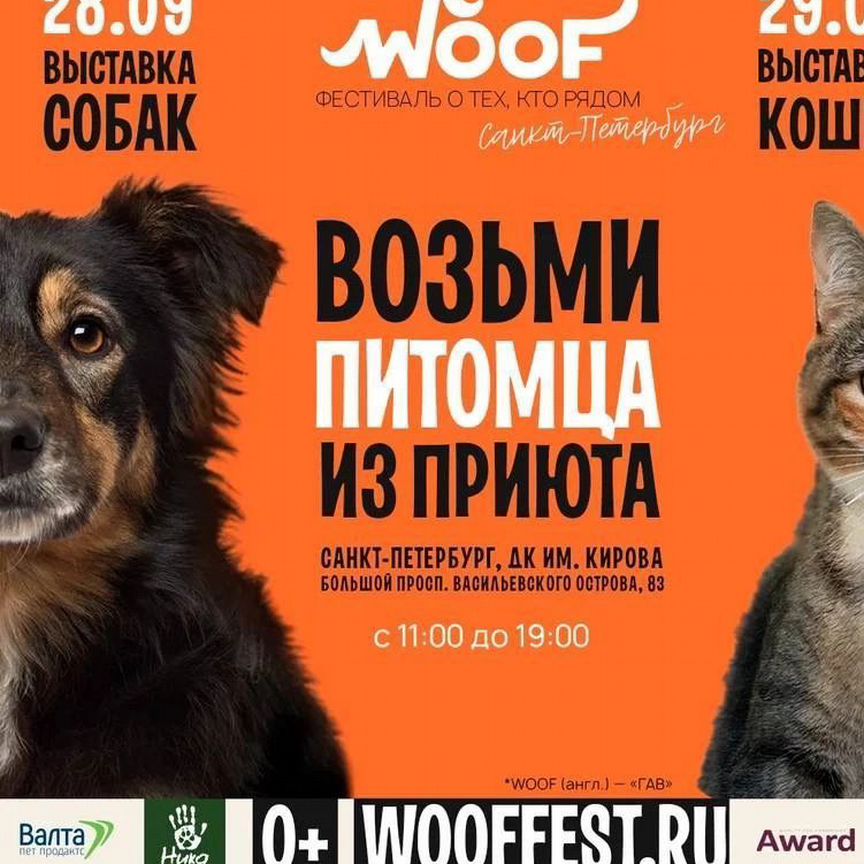 Фестиваль