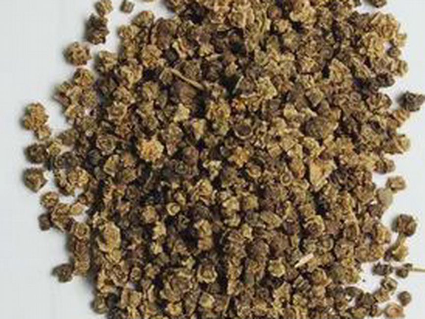 Кормовая свекла