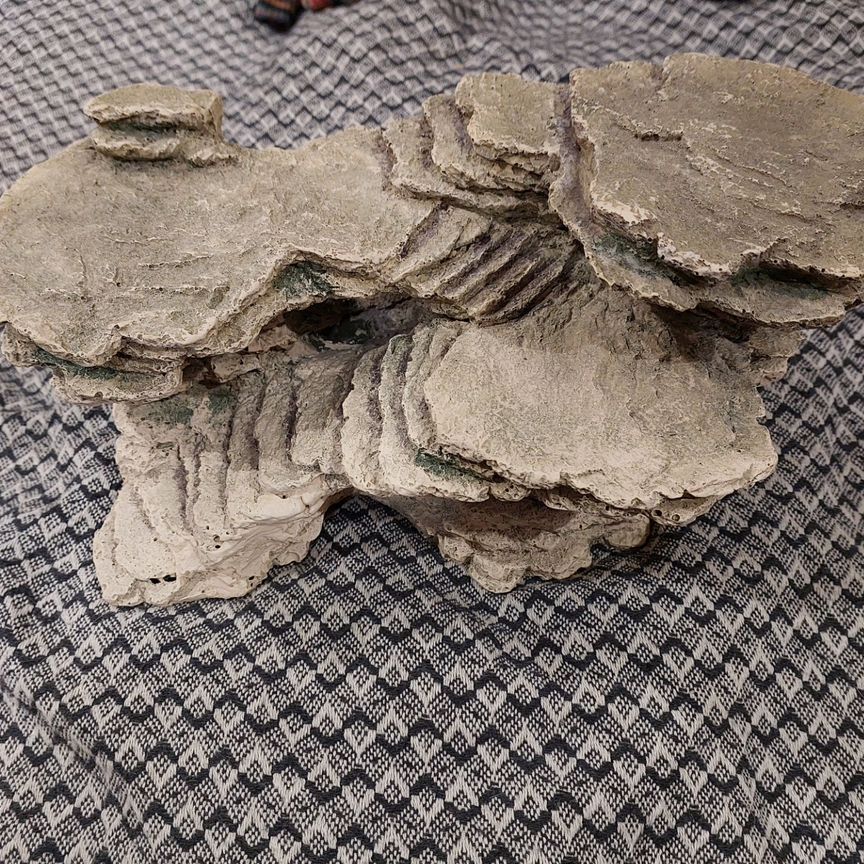 Остров для черепашки