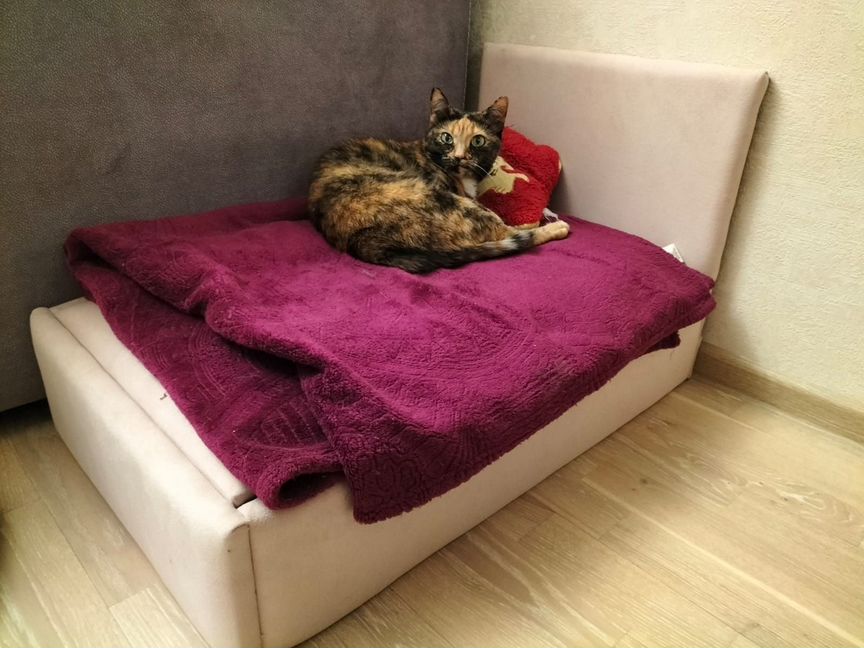 Кровать для кошки