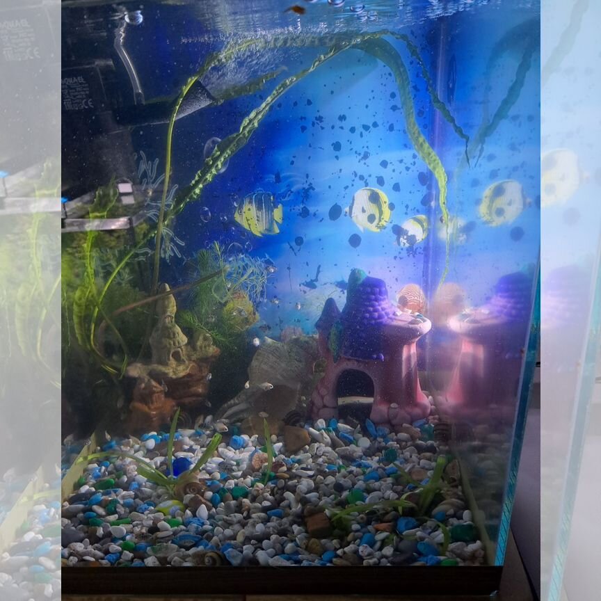 Аквариум 30л