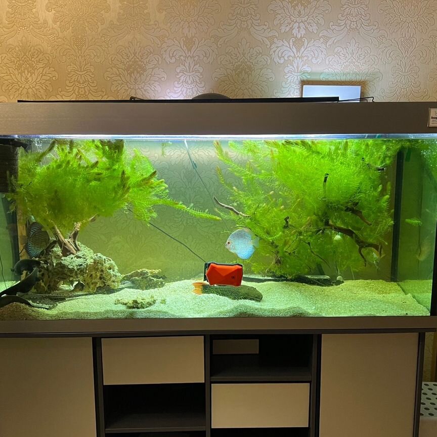 Аквариум 600л с оборудованием и тумбой