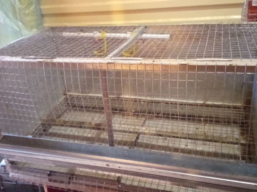 Продам клетку для содержания куриц