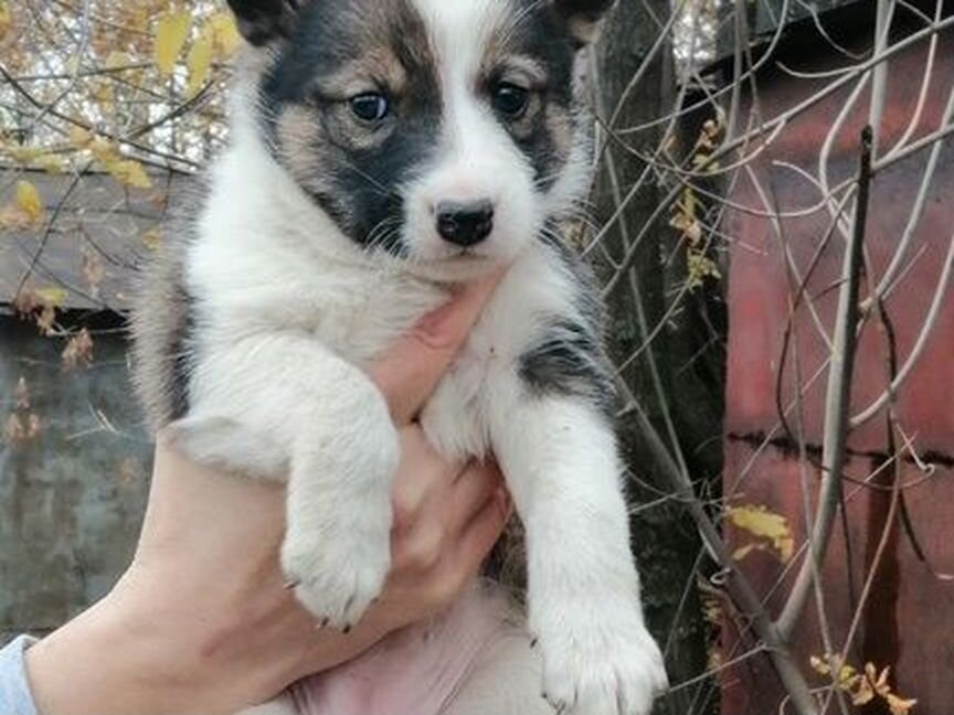 Я замерзаю на улице