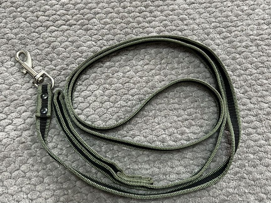 Поводок для собак, обувь