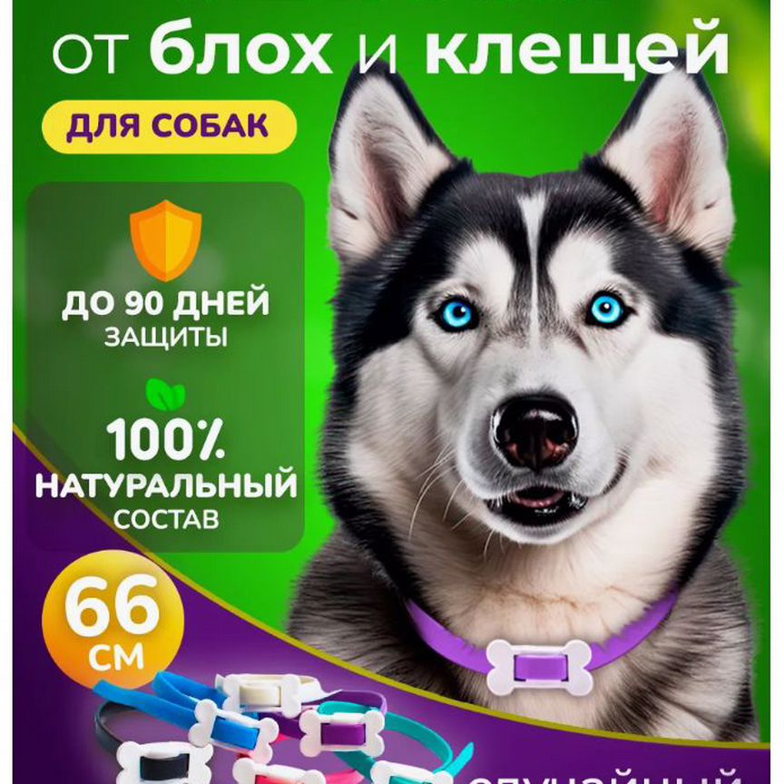 Ошейник от блох