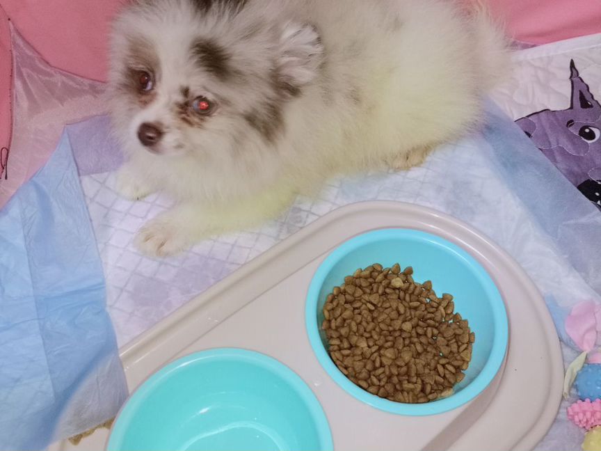 Девочка игрулька красотулька