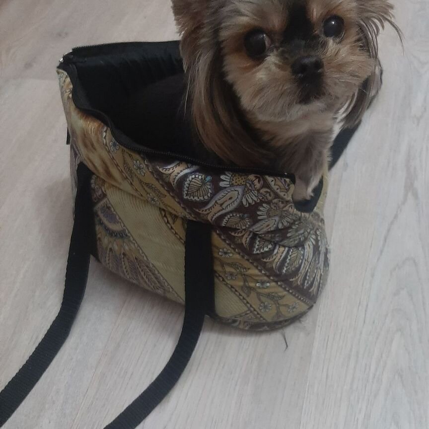 Сумка для собак мелких пород (той терьер,чихуахуа)