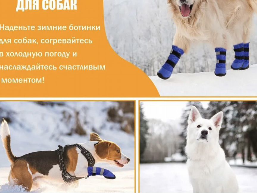Ботинки для крупных собак