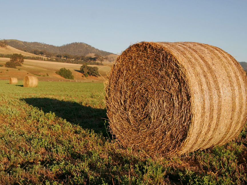 Продается сено, солома